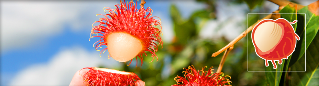 Rambután – Tropical Picks